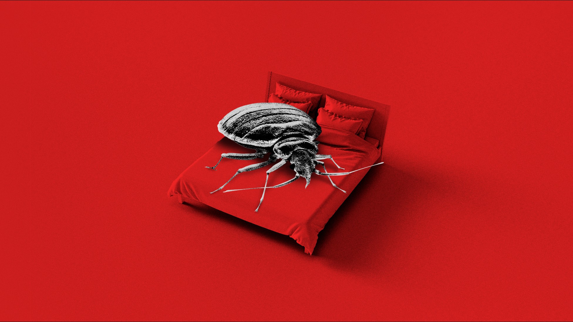 Bedbugs Are Getting Scarier - The Atlantic