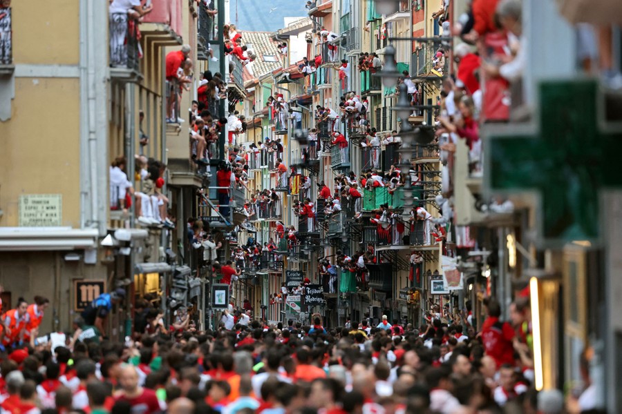 Photos of the Week: Gruffalo Maze, Panama Swing, Luminous Mane - The ...