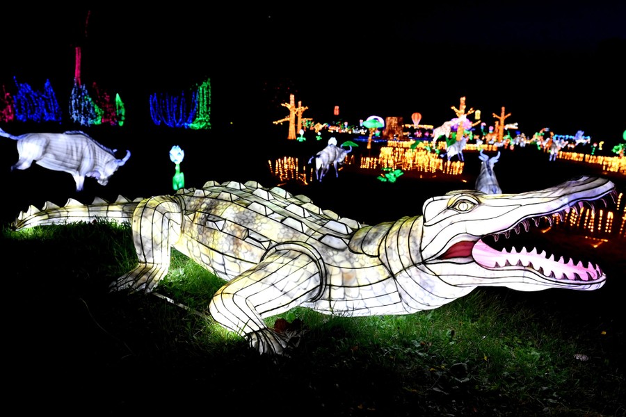 Photos of the Week: Goth Weekend, Dark Moon, Dead Sea - The Atlantic