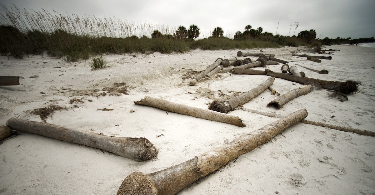 Sea-Level Rise in Miami Threatens Archaeological Sites - The Atlantic