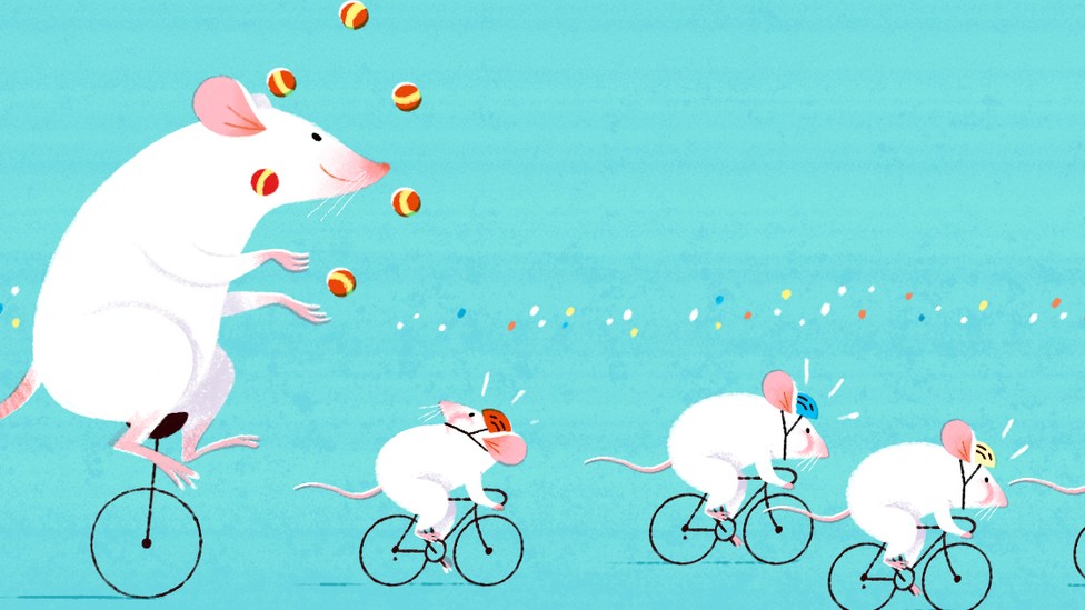 How Rats Could Lead to Autism Drugs That Actually Work - The Atlantic