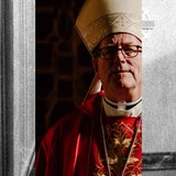 How Robert Barron Became America’s Most-Watched Bishop - The Atlantic