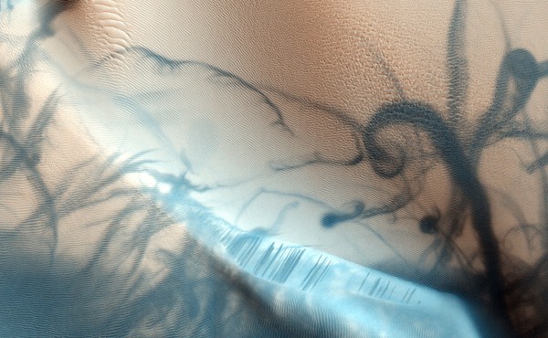 All Stories by Alan Taylor - The Atlantic