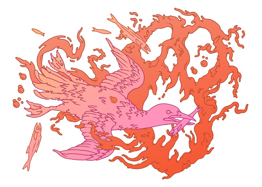 A Plague of Toxic Algae Is Making Shellfish Deadly - The Atlantic