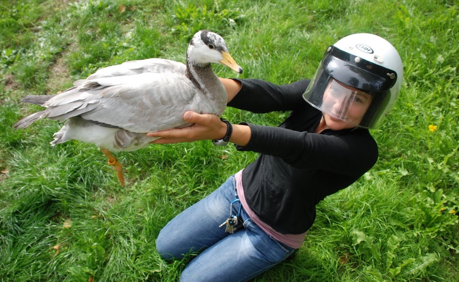 The Astronaut Who Raised Geese - The Atlantic