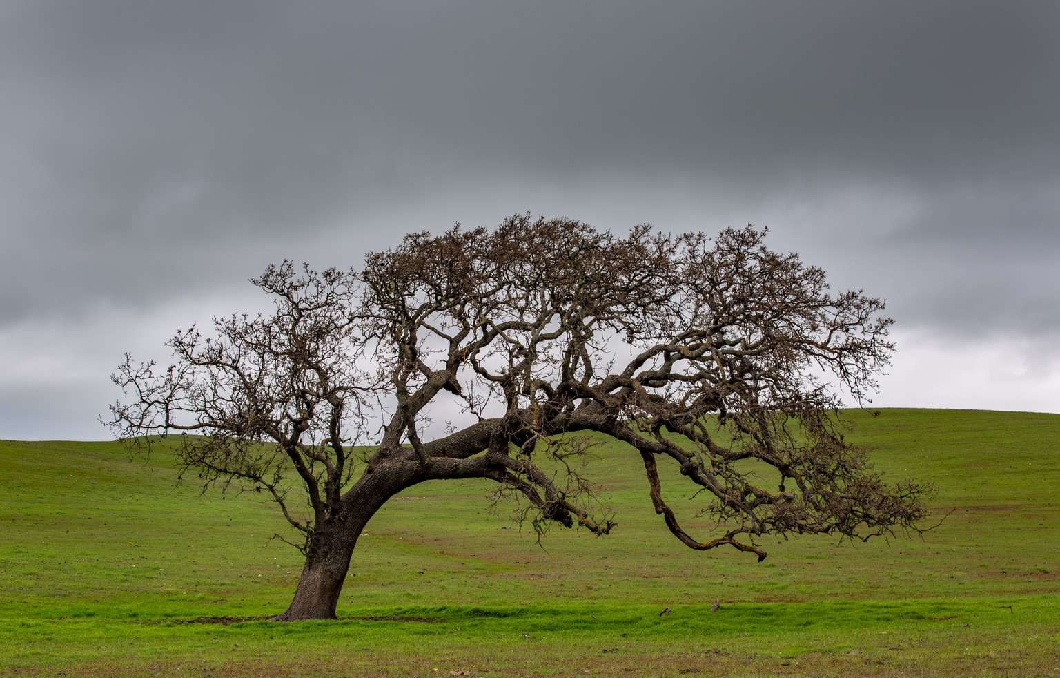 California, Seen Through the Lens of George Rose - The Atlantic
