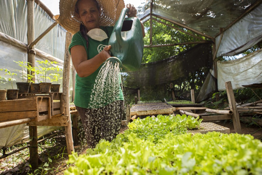 Photos: The Essential Work of Farmers - The Atlantic