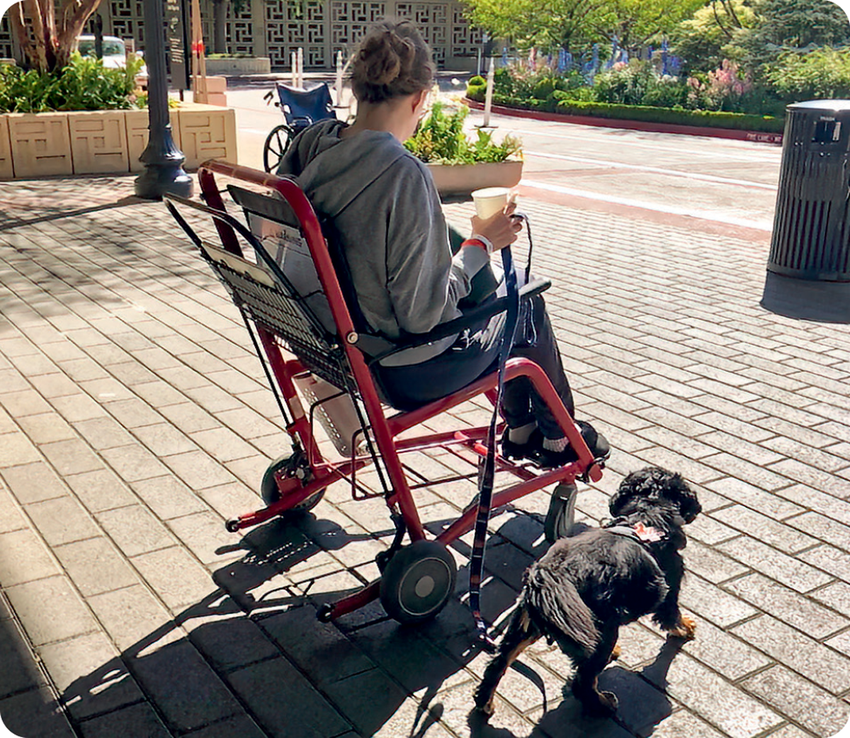 David Frum: Miranda's Last Gift - The Atlantic