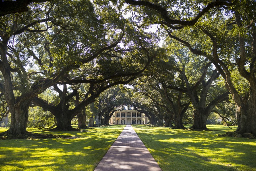 Louisiana: Images of the Pelican State - The Atlantic