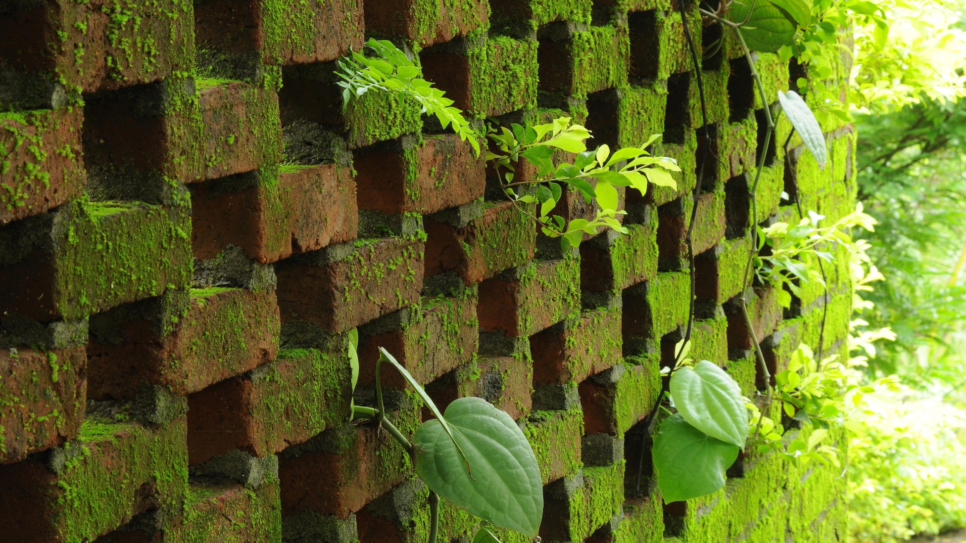 Designing a Bioreceptive Building - The Atlantic