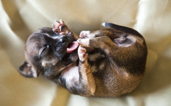 All Stories by Matthew Sedacca - The Atlantic