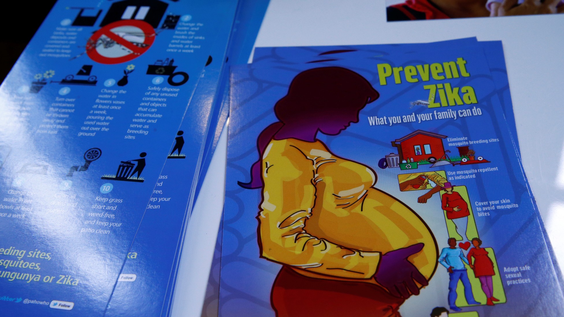 A Step Forward in the Hunt For a Zika Vaccine - The Atlantic