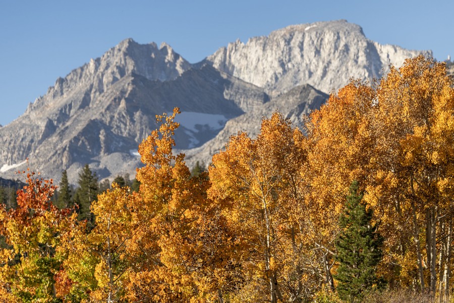 What Month Is Early Fall When Is The First Day Of Fall? Autumnal