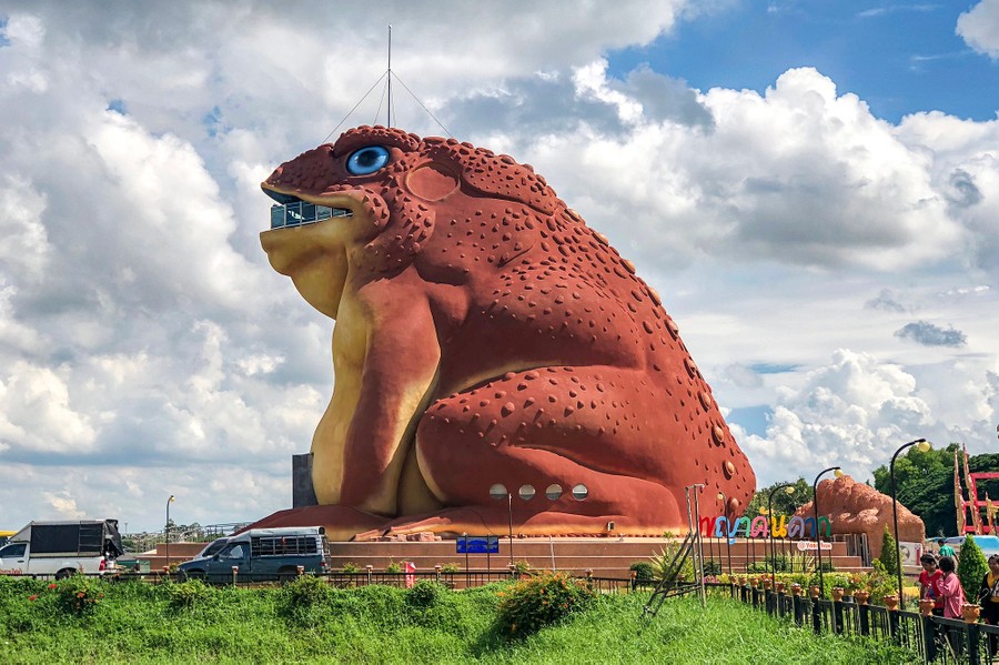 Photos of the Week: Distorted Queen, Toad King, Gladiator - The Atlantic