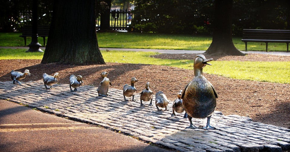 In Defense of a Duck-Killing New Hampshire Politician - The Atlantic