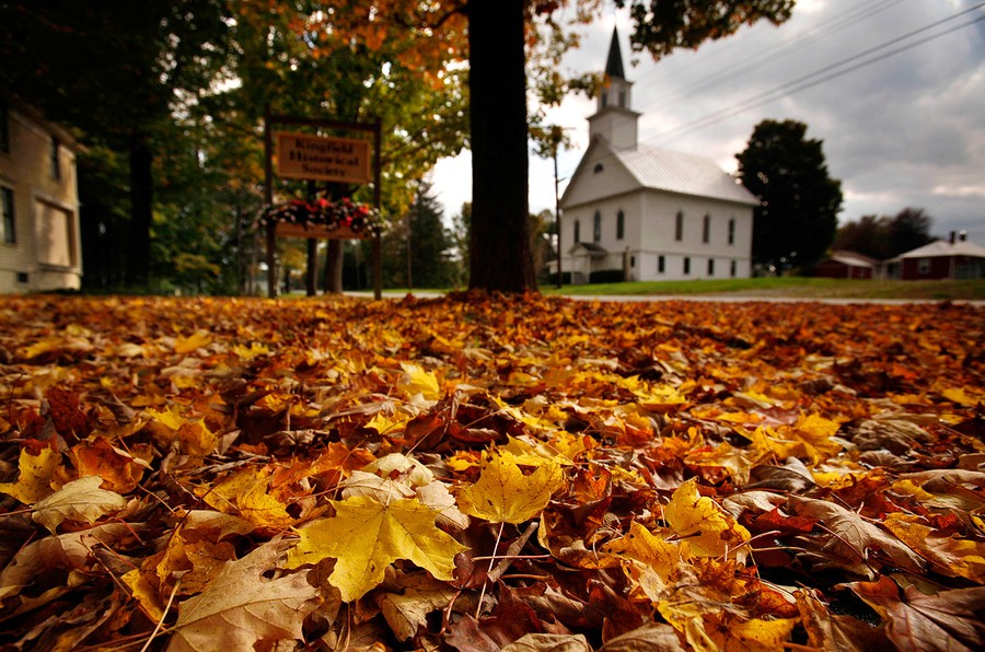 Fall Is in the Air - The Atlantic