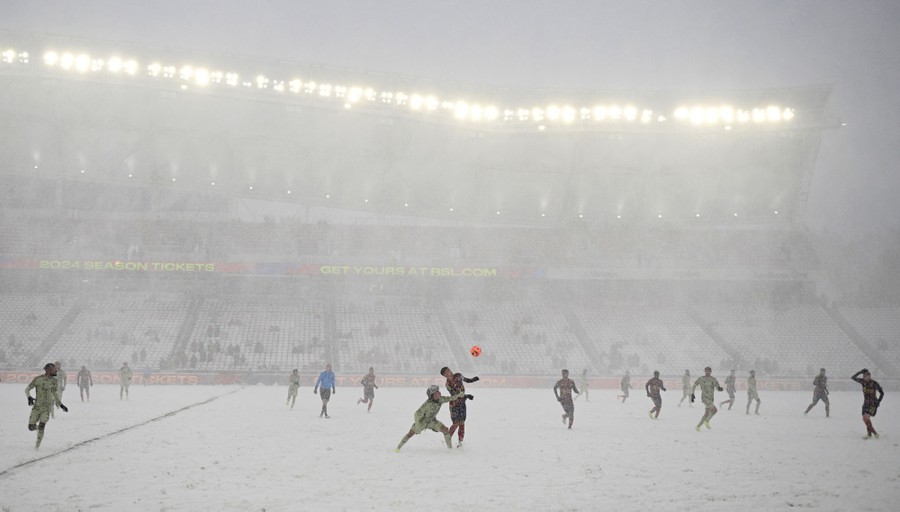 Photos of the Week: Snowy Soccer, Crouching Spider, Pain Simulator ...