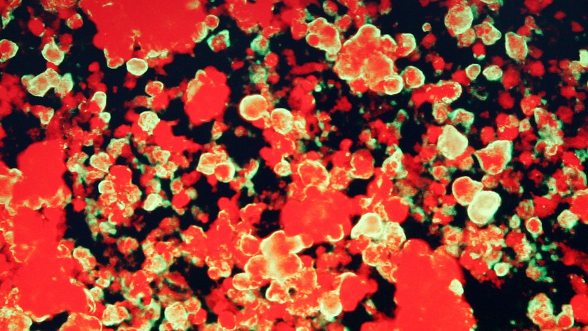 Internet Reading Club: May 2016 - The Atlantic