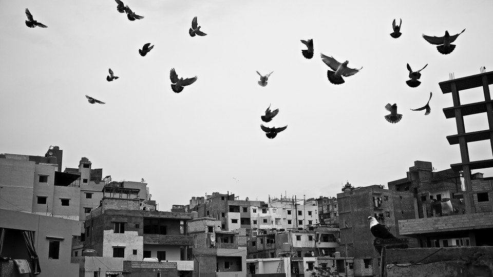 My Hope for a Better Future in Gaza - The Atlantic