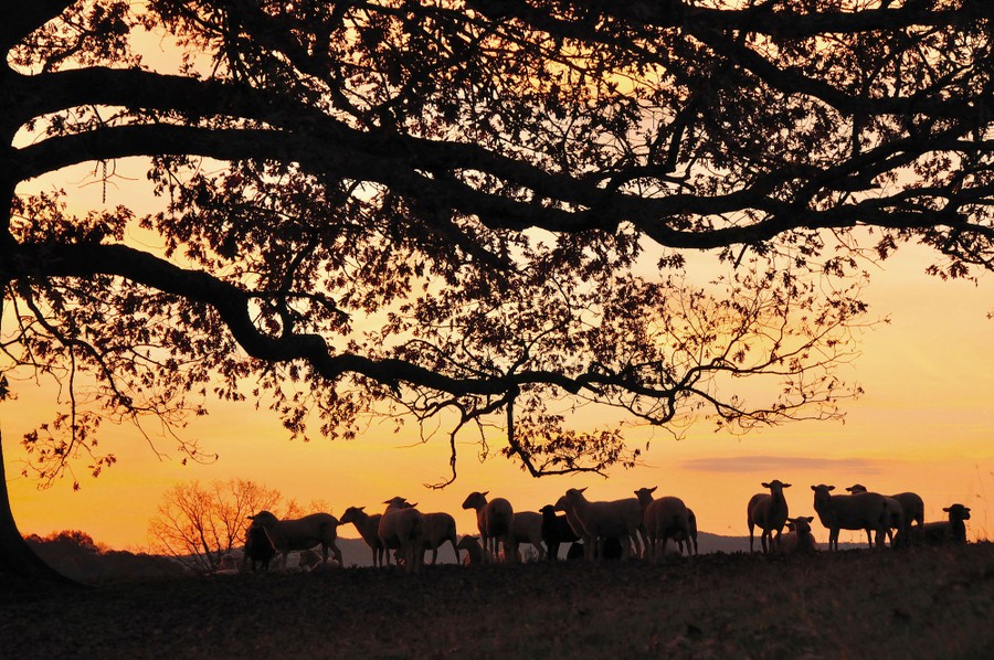 West Virginia: Images of the Mountain State - The Atlantic