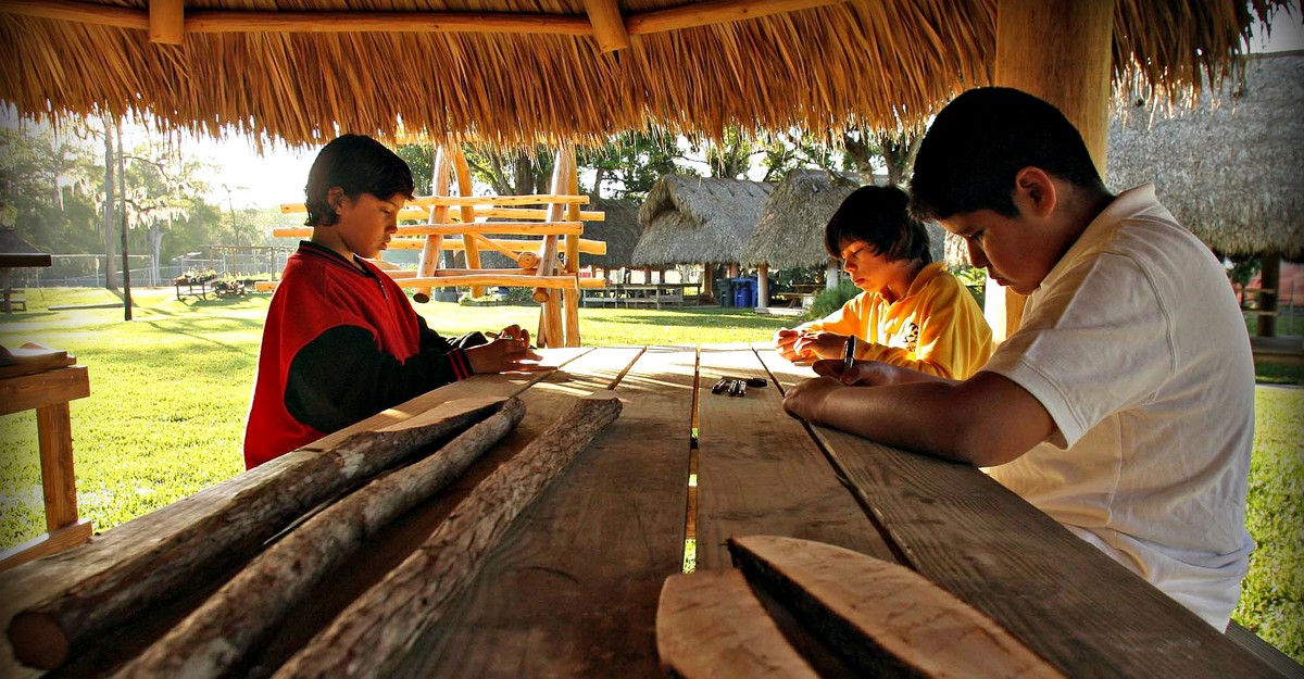 Tribal Changes: How the Education of American Indian and Alaska Native ...
