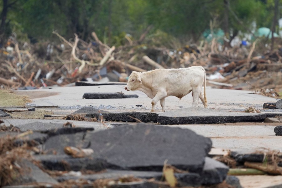 Photos: The Aftermath of Hurricane Helene - The Atlantic
