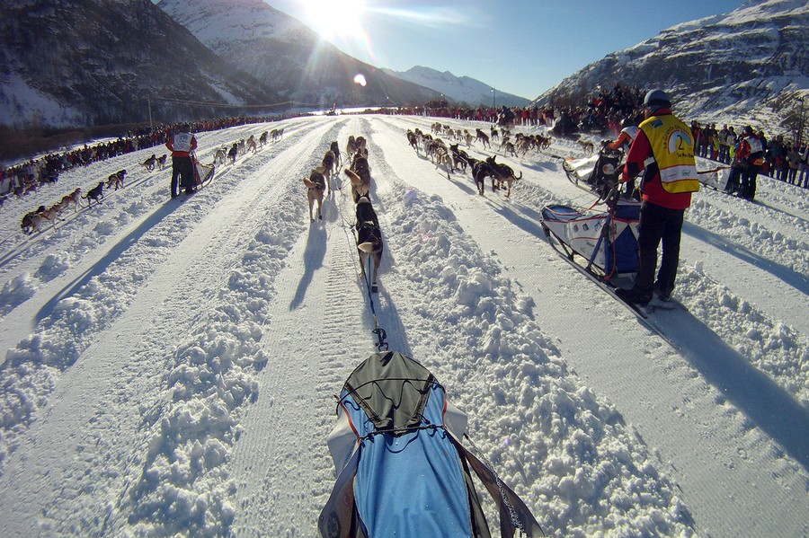 The 2011 Iditarod Sled Dog Race - The Atlantic