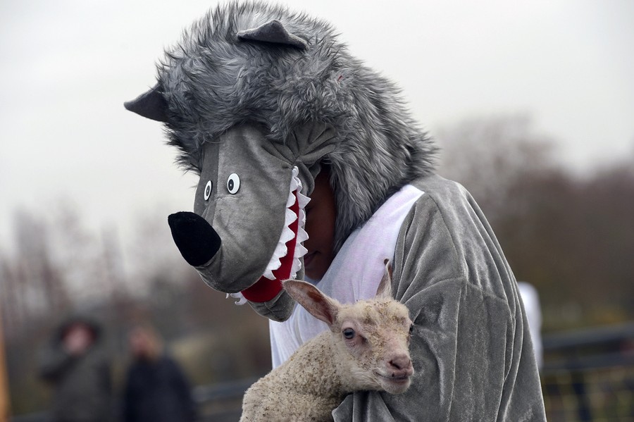 Photos of the Week: 11/22-11/28 - The Atlantic