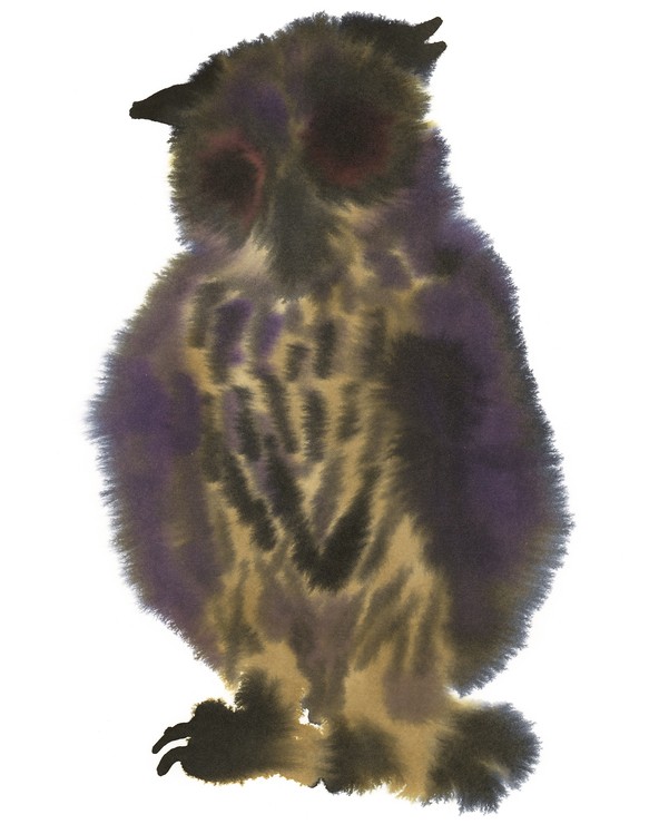 How Smart Are Owls? - The Atlantic