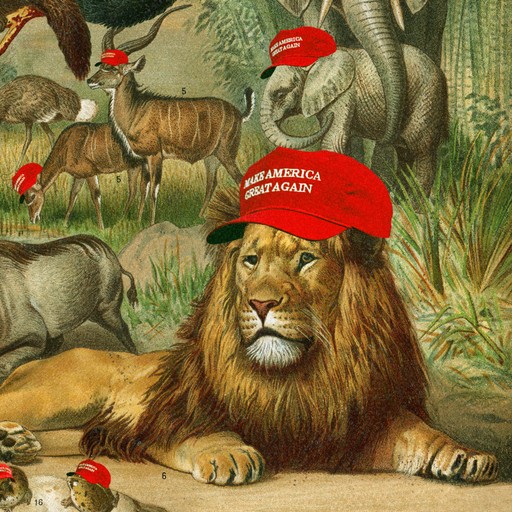 Why Is Trump Mad at the Zoo? - The Atlantic