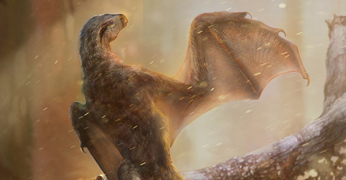 Ambopteryx, Another Bat-Winged Dinosaur, Has Been Found - The Atlantic