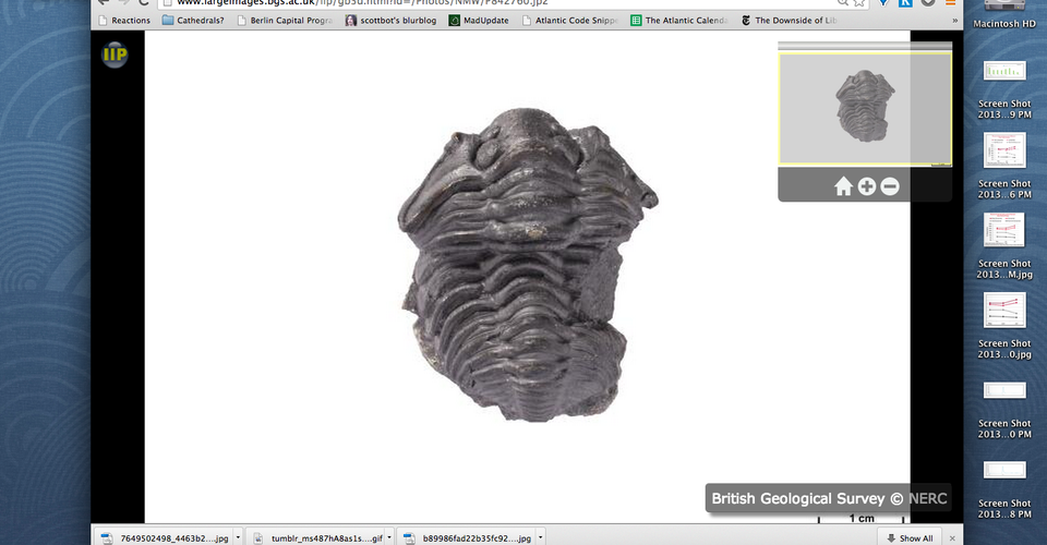 A Database of 3D Fossils, Ready for You to Explore and Print - The Atlantic