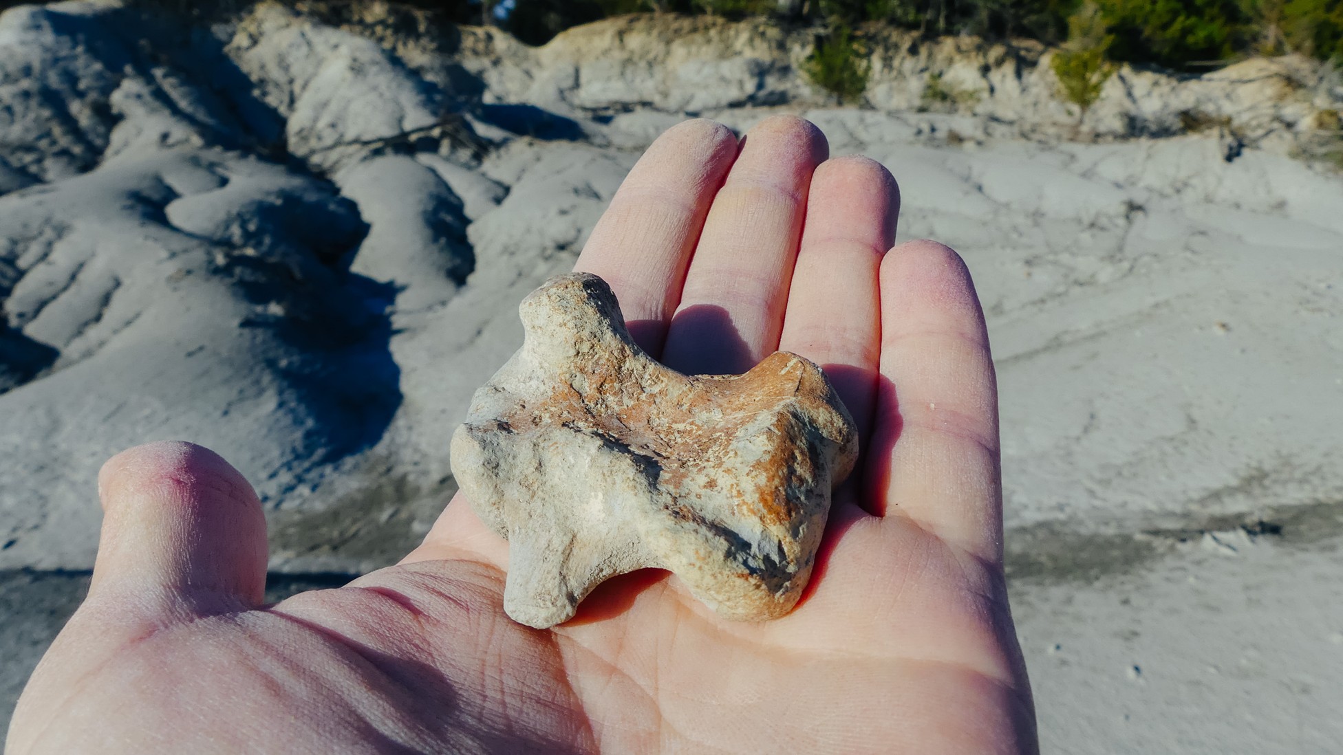 Alabama Was Once a Sea Full of Giant Dinosaurs - The Atlantic