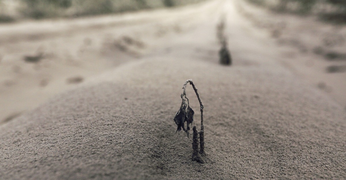 Poem of the Week: ‘Memo’ by W. G. Sebald - The Atlantic