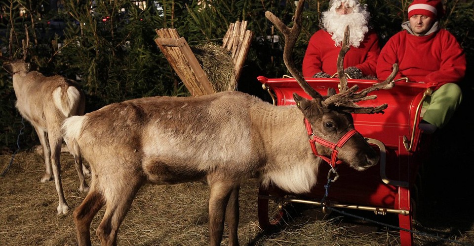 Rudolph the Red-Nosed Cash Cow: Inside the Economics of Reindeer ...