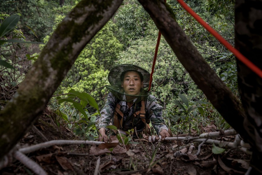 Honey Hunting on the Cliffs of China’s Yunnan Province: Photos - The ...