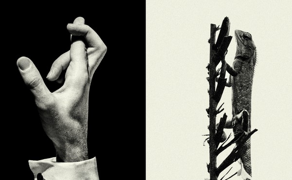 All Stories by Robin Marantz Henig - The Atlantic