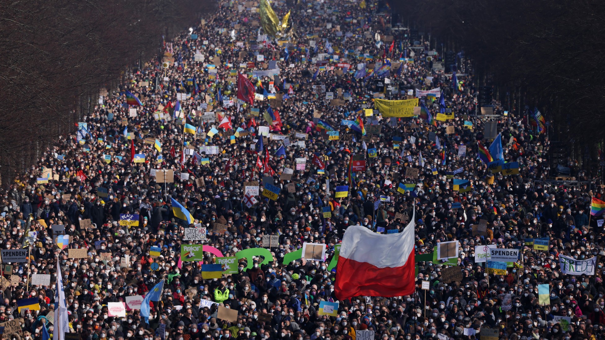 Putin Accidentally Revitalized the West’s Liberal Order - The Atlantic