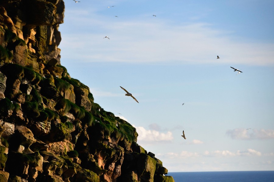 Foula—the Most Remote Inhabited Island in Great Britain - The Atlantic