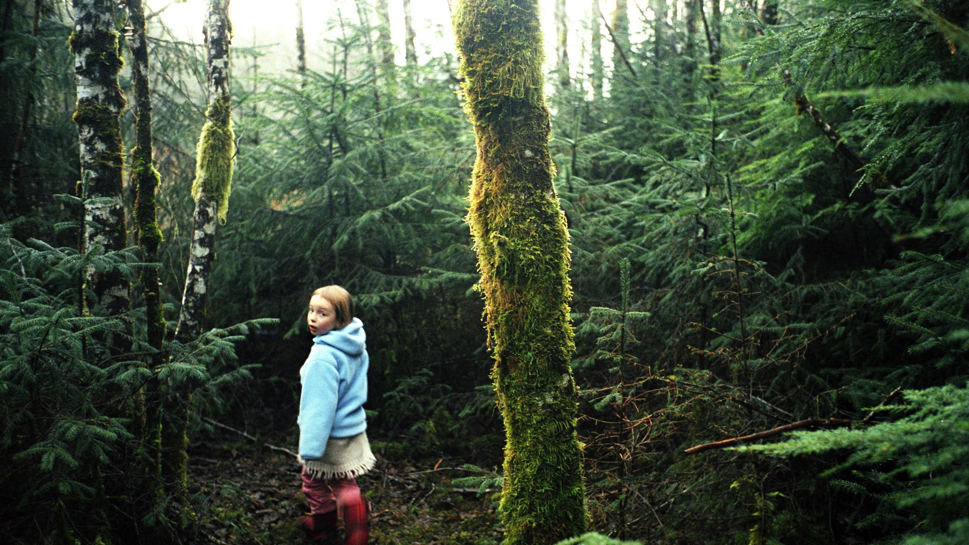 Modern life could be teaching kids to fear nature - The Atlantic