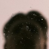 Janelle Tan, The Atlantic