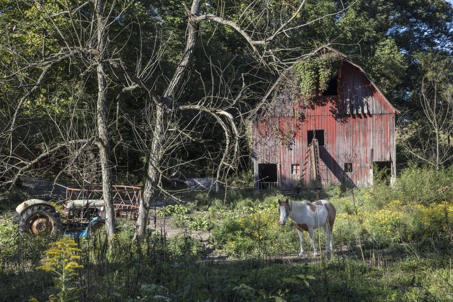 Indiana: Images of the Hoosier State - The Atlantic