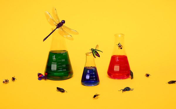 All Stories by Kristina Rizga - The Atlantic