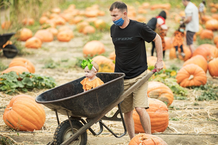 Fall Is in the Air: Images of the Season - The Atlantic