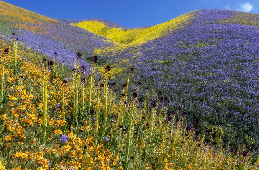 California: Images of the Golden State - The Atlantic