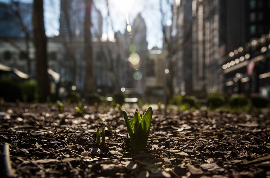 Scenes of Spring - The Atlantic