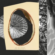 Conservation Is About More Than Saving Species From Extinction - The ...