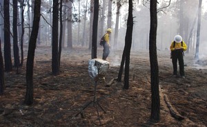 All Stories by Elizabeth Shogren - The Atlantic