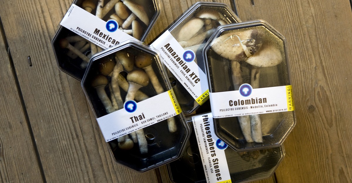 Mark Kleiman Remembered: The Case for Psychedelics - The Atlantic