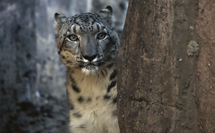 Photos of the Week: 10/25-10/31 - The Atlantic